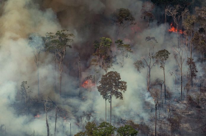 El humo ahoga el norte de Brasil mientras los incendios en la Amazonía ...