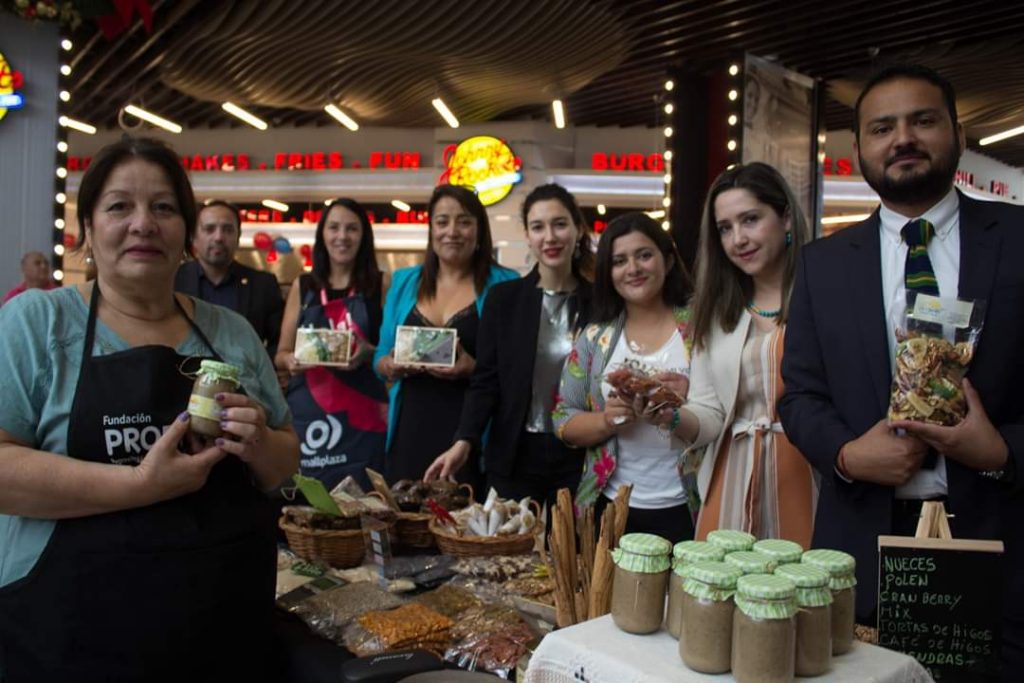 15 Emprendedoras de PRODEMU invitan a la comunidad a preferir sus ...