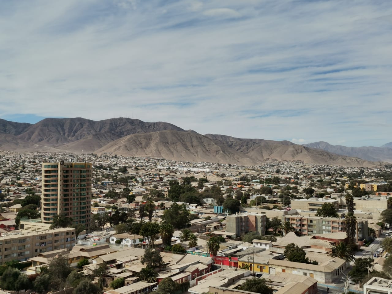 Vinos premium y al alcance de todos en Copiapó – NOSTÁLGICA FM