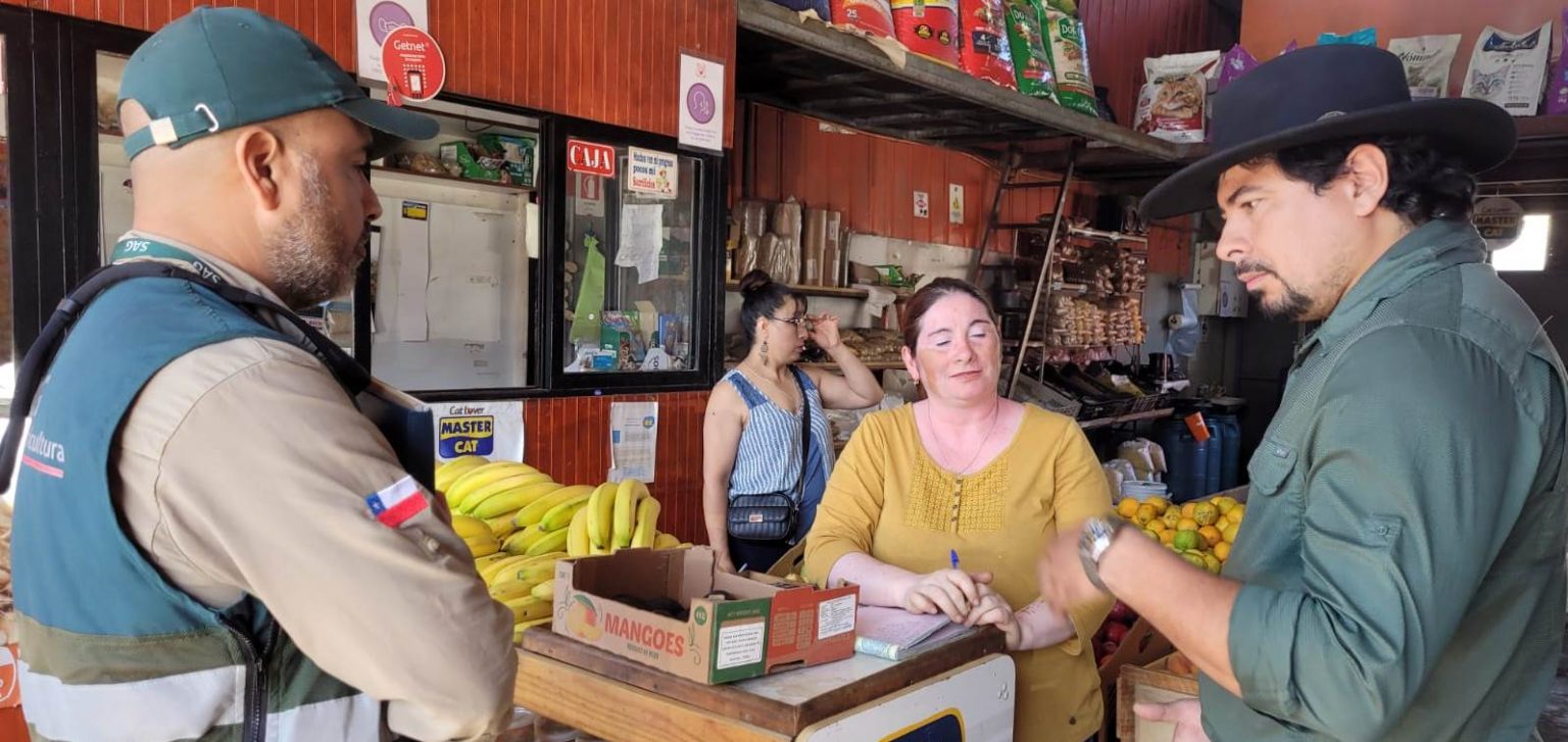SAG visitó las instalaciones del terminal Agro para fiscalizar la venta ...