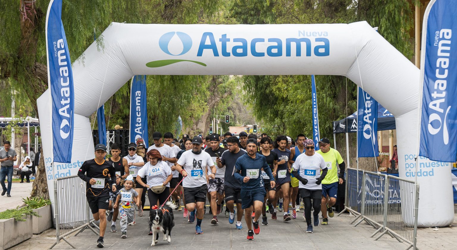Evento fue organizado por Nueva Atacama: cerca de 350 personas participaron en corrida familiar ...