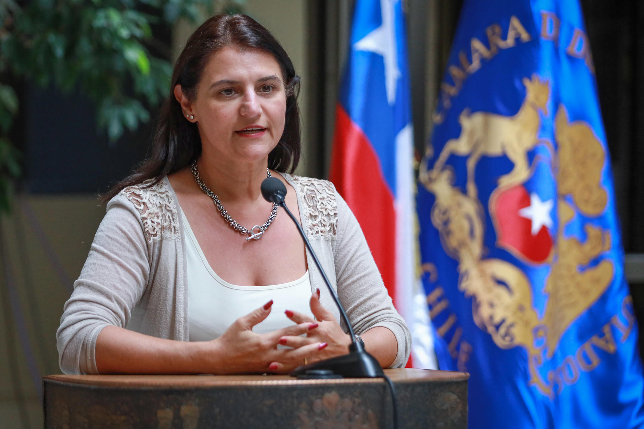 Sofía Cid y diputados RN ofician a Defensoría de la Niñez y al INDH para que UNESCO evalúe la ...