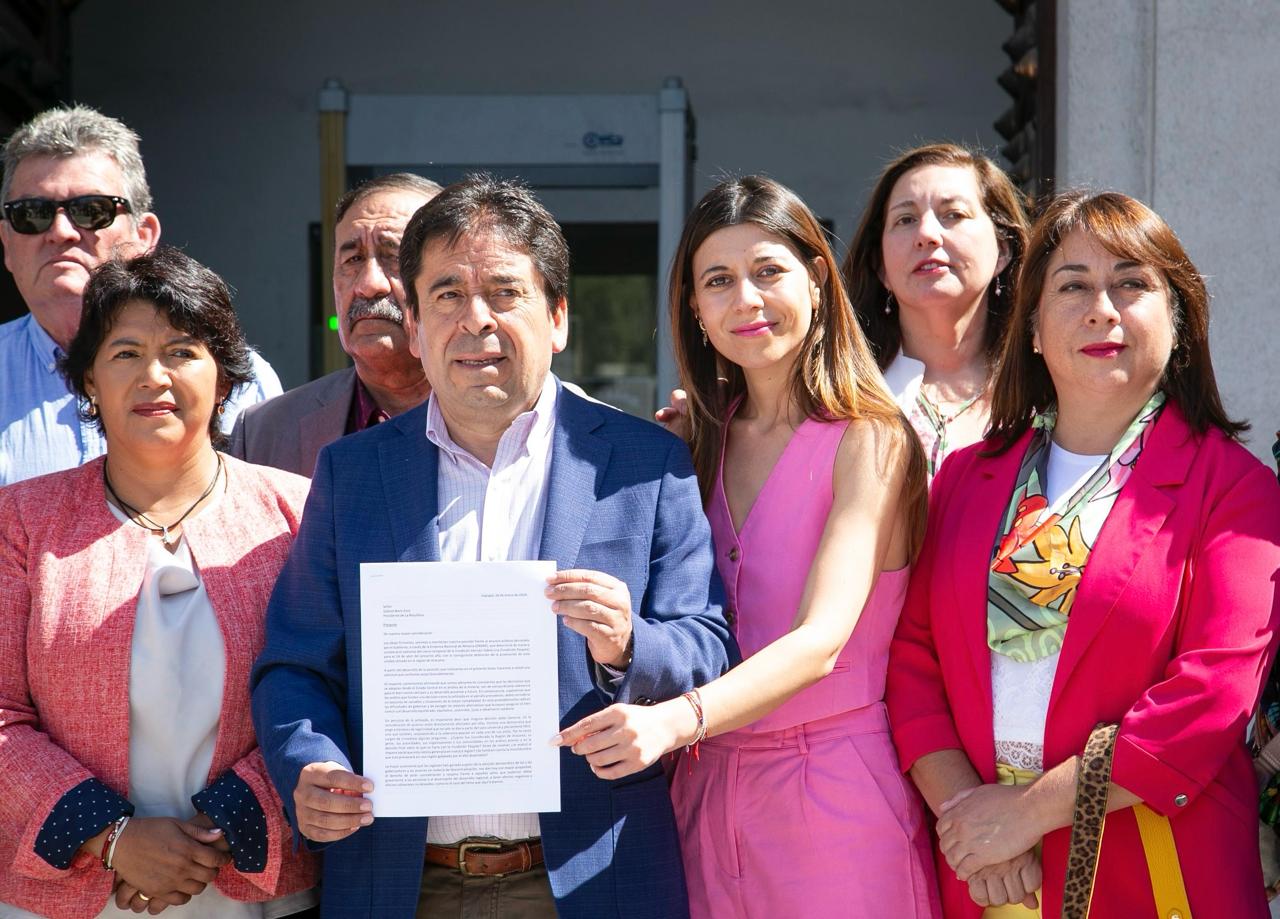 Diputada Cicardini tras entrega de carta en La Moneda por ENAMI ...