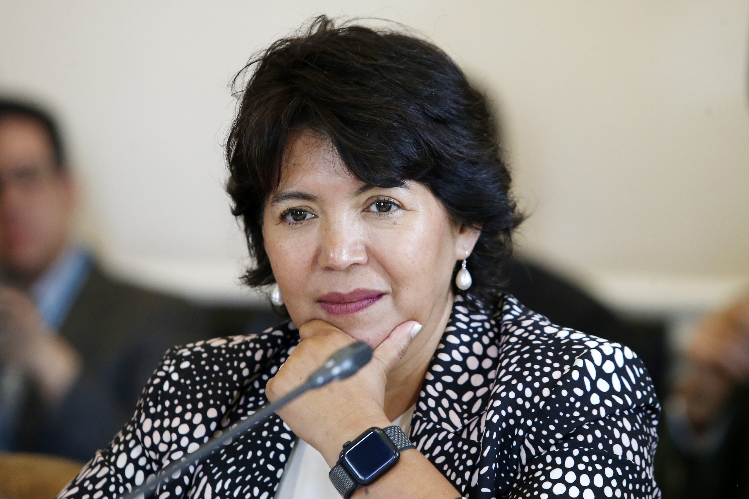 Senadora Yasna Provoste y parlamentarios de centroizquierda llevan al ...