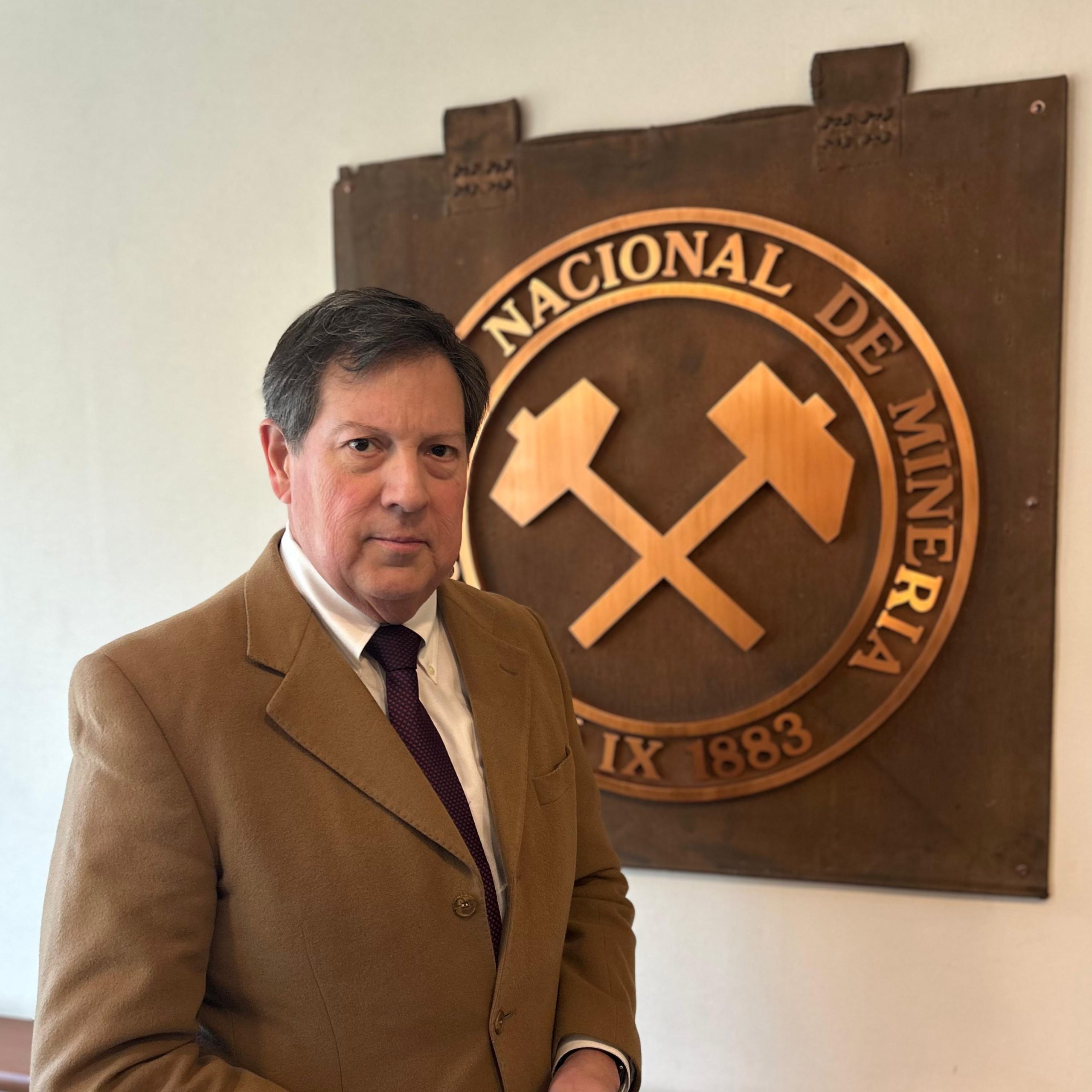 SONAMI en estado de alerta por eventual venta de 10% de Enami en QB ...