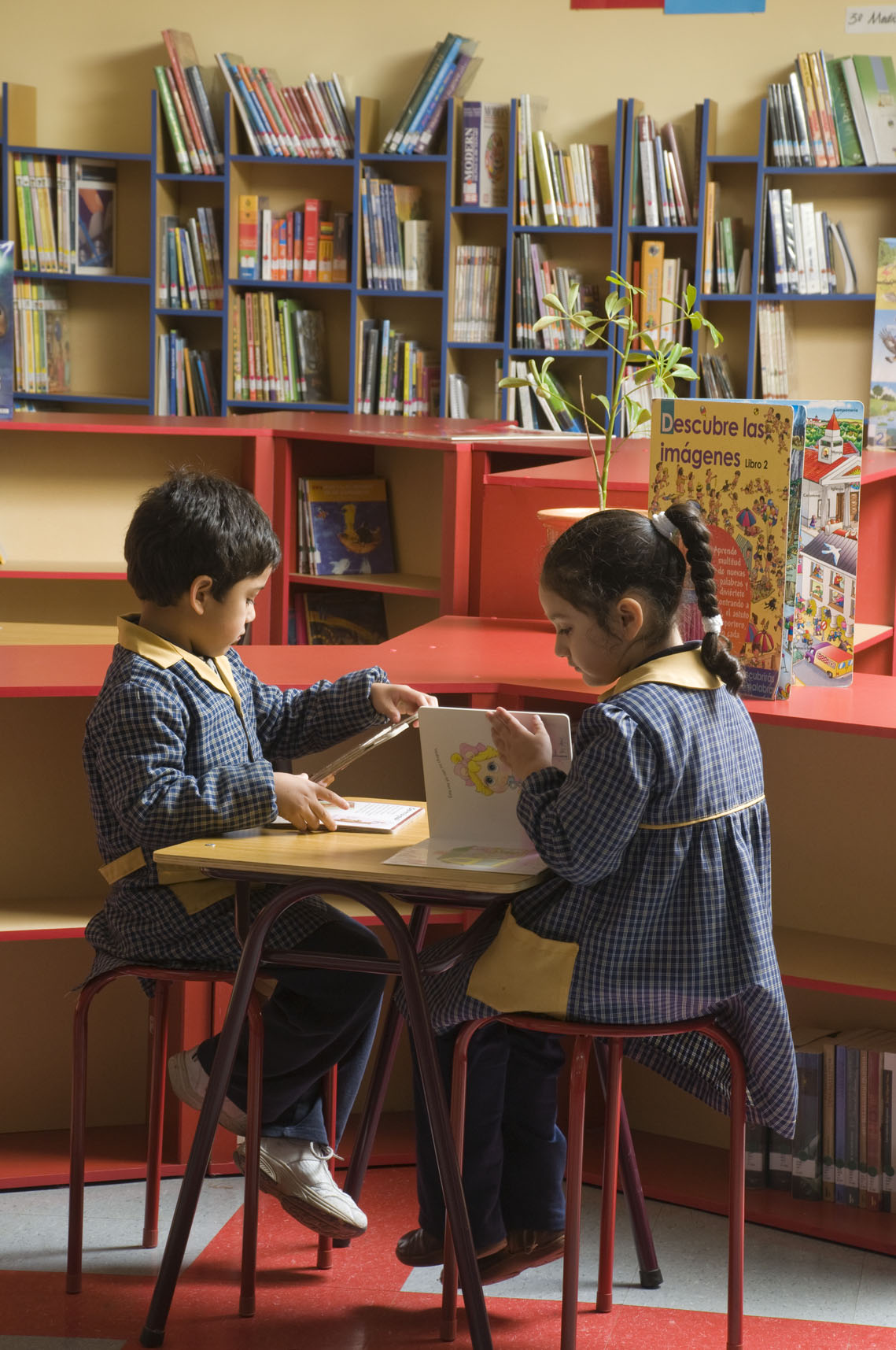 Día del Libro: El rol de las familias en el fomento lector - NOSTÁLGICA cl