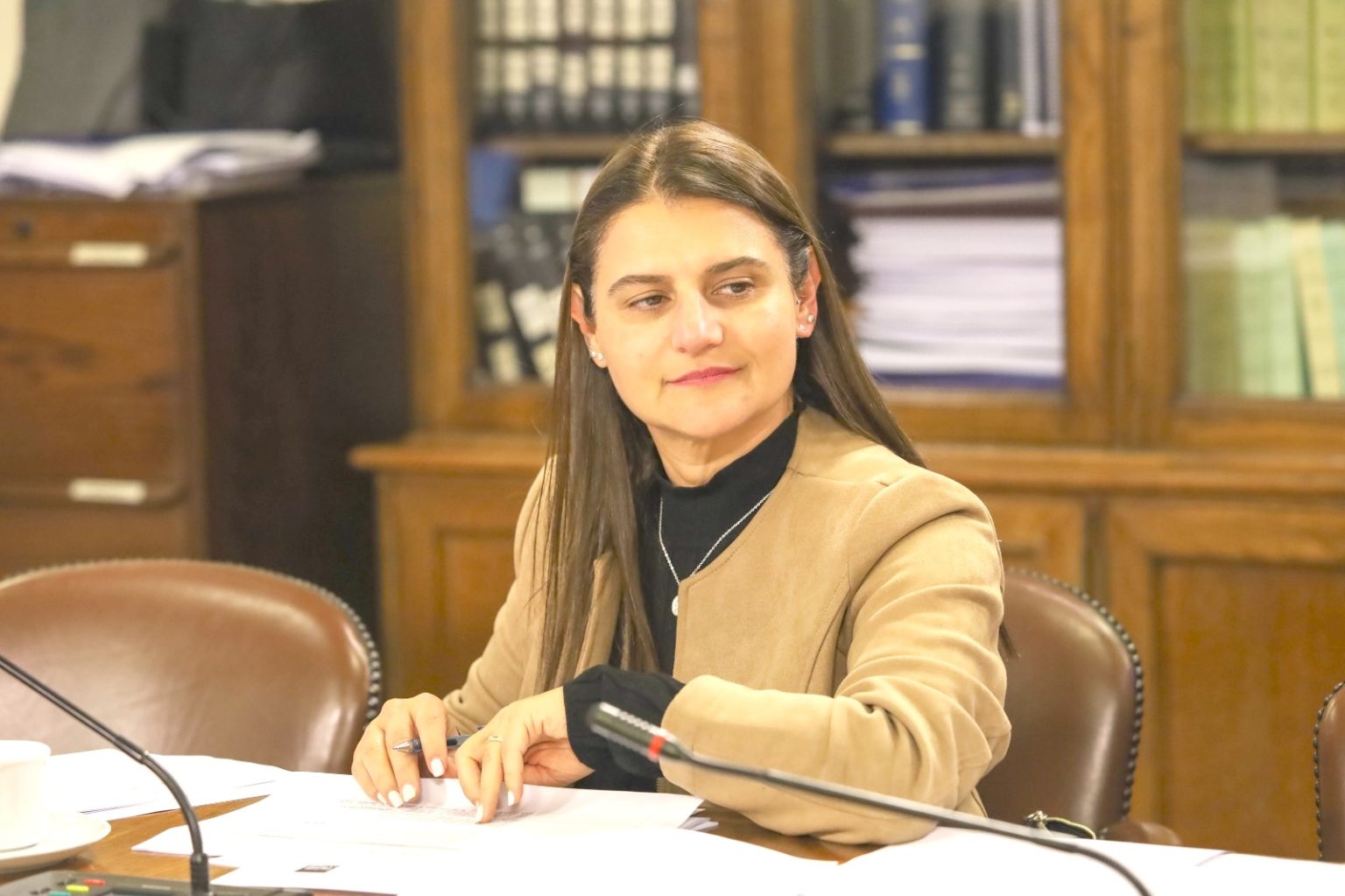 Diputada Sofía Cid denuncia el robo de su vehículo territorial - NOSTÁLGICA cl